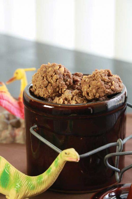 Dinosaur Food Becomes a No-Bake Cookie Recipe - Grit